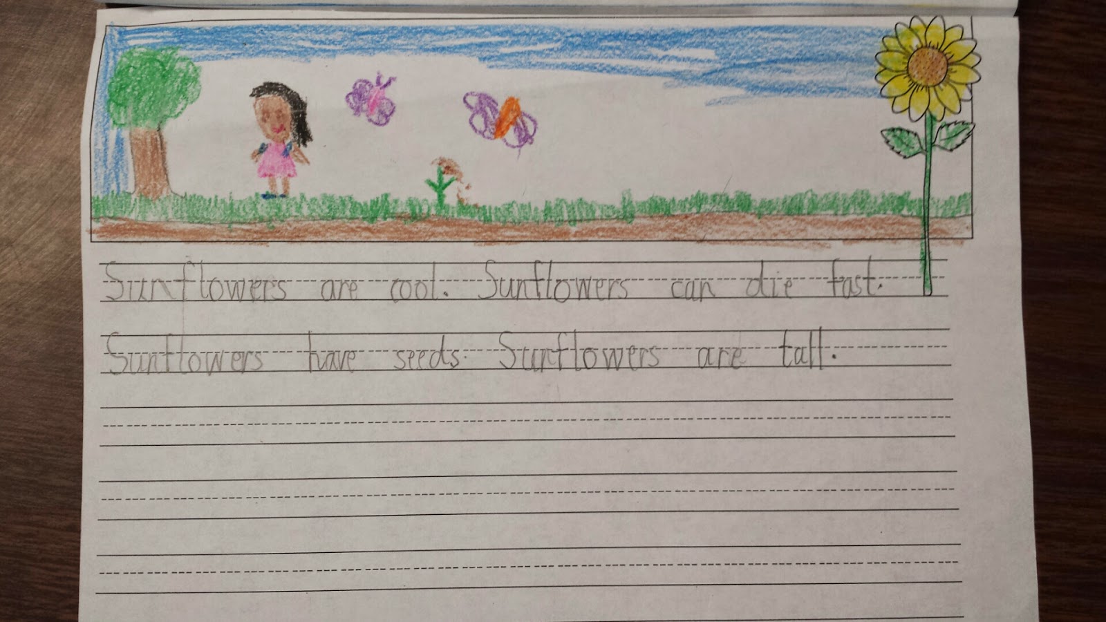 M.A.D. about first grade: Sunflowers and more